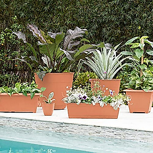 Bloem Dayton Planter with Saucer: 16" - Coral - 100% Recycled Plastic Pot, Removable Saucer, Elevated Feet, for Indoor and Outdoor Use, Gardening, 8.5 Gallon Capacity