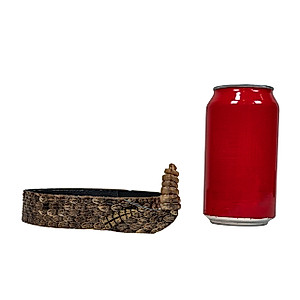 Chichester Inc Real 1" Rattlesnake Hat Band with Rattle (598-HB199) C4H