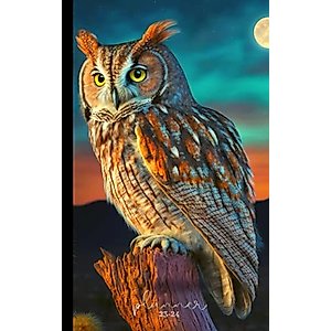 2023-2024 PLANNER: "OWL" Weekly planner. September 2023 to August 2024. Weekly. Annual, monthly and weekly calendar. Timetable. 6 x 9 inches. 139 pages.