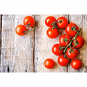 Dwarf Bush Tomatoes Seeds for Planting 25+ Seeds Indoor Vegetable Garden