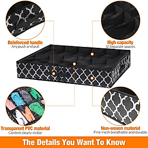 Berlune Set of 4 Under Bed Shoe Storage Organizer, Fits Total 48 Pairs Fabric Shoe Containers Box with Clear Cover and Handles Breathable Shoe Storage Bins Shoe Storage Bag, 29.5 x 23.2 x 5.1 Inches