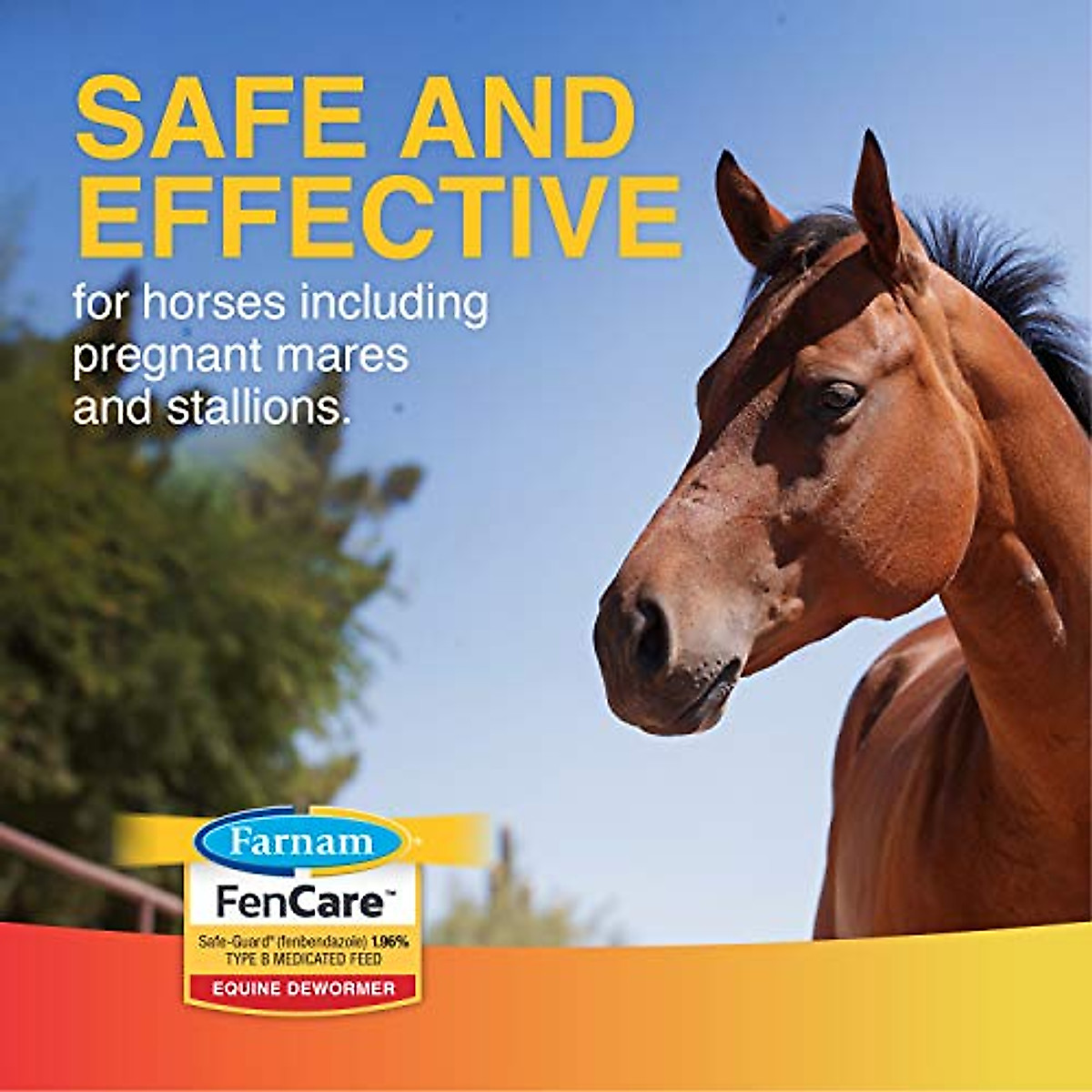 Farnam FenCare Safe-Guard (fenbendazole) 1.96% Type B Medicated Feed Equine Dewormer 5 Ounces