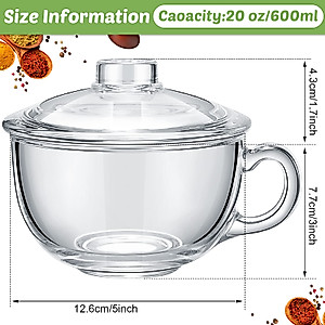 2 Pcs Transparent Ramen Bowl with Lid and Handle, Microwave Safe Glass Mixing Pot For Cooking, Cereal, Breakfast, Noodles Soup Cereals Fruits (600 ml/ 20 oz)