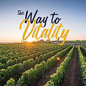 Vitalitown Iron Complex, Complete Blood Building Formula, Ferrous Bisglycinate, Active B6, Folate, B12, Red Blood Cell Support, Best Absorption, Once Daily, 60 Vegan Caps