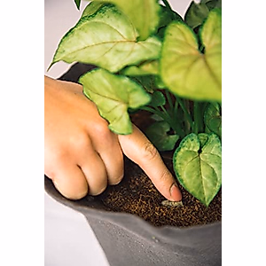 Wool Pellets Water Holding Organic Fertilizer