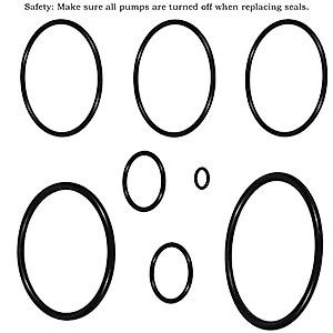Black R0502500 O-Ring Reseal Kit for Nature2 Water Sanitizer Cleaner Aftermarket Oring Rebuild Kit, Fusion Inground, Fusion Soft,Polaris Scorpio Crystals, 280, 380, Back up Valve (8PCS)