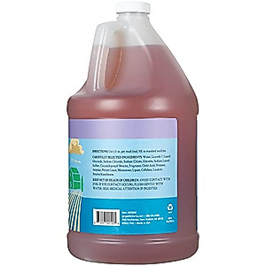 Ginger Lily Farms Botanicals Plant-Based Liquid Laundry Detergent, Lavender, Concentrated Formula, HE Compatible, 85 Loads, 1 Gallon (128 fl. oz.)