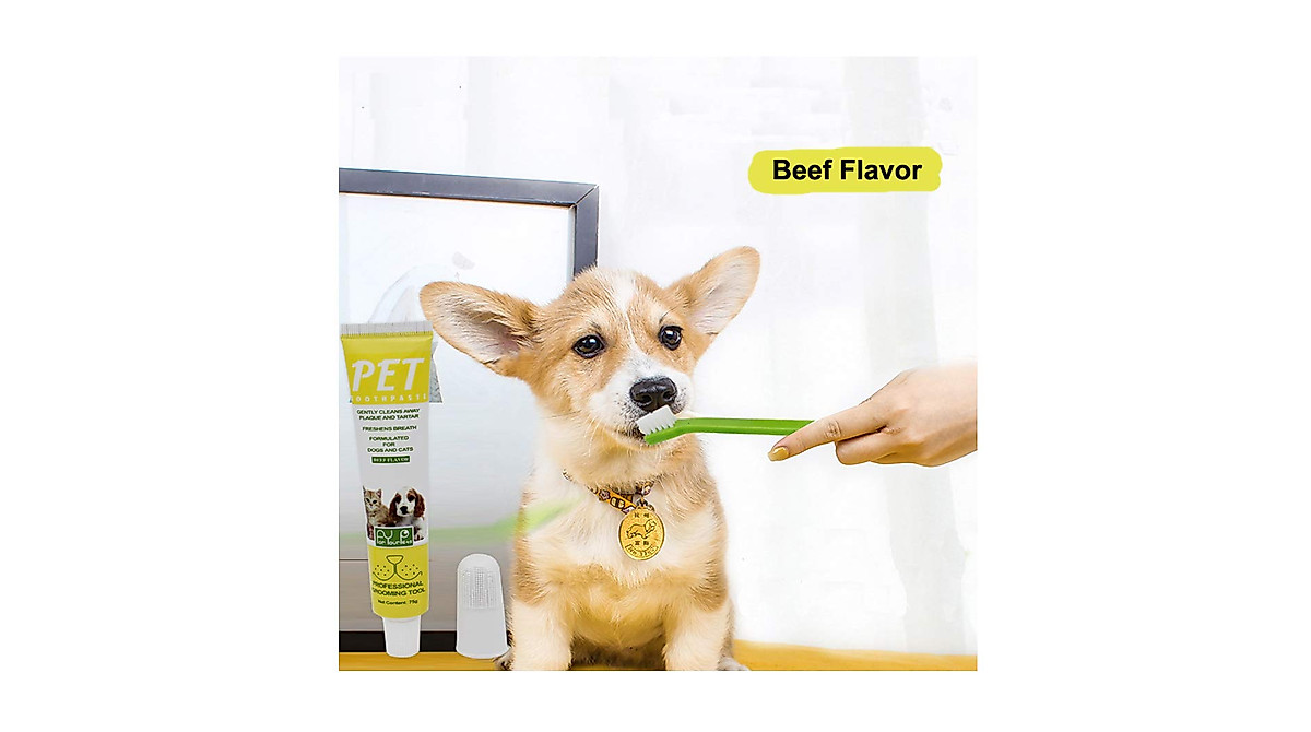 Puppycute Pet Toothbrush & Toothpaste Set for Dogs & Cats