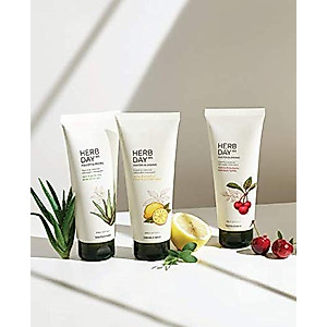 The Face Shop Herb Day 365 Master Blending Cleansing Foam Aloe & Green Tea Face Cleanser - Moisturizing, Hydrating, Soothing Face Wash - Korean Skin Care Facial Cleanser - Suitable for All Skin Types