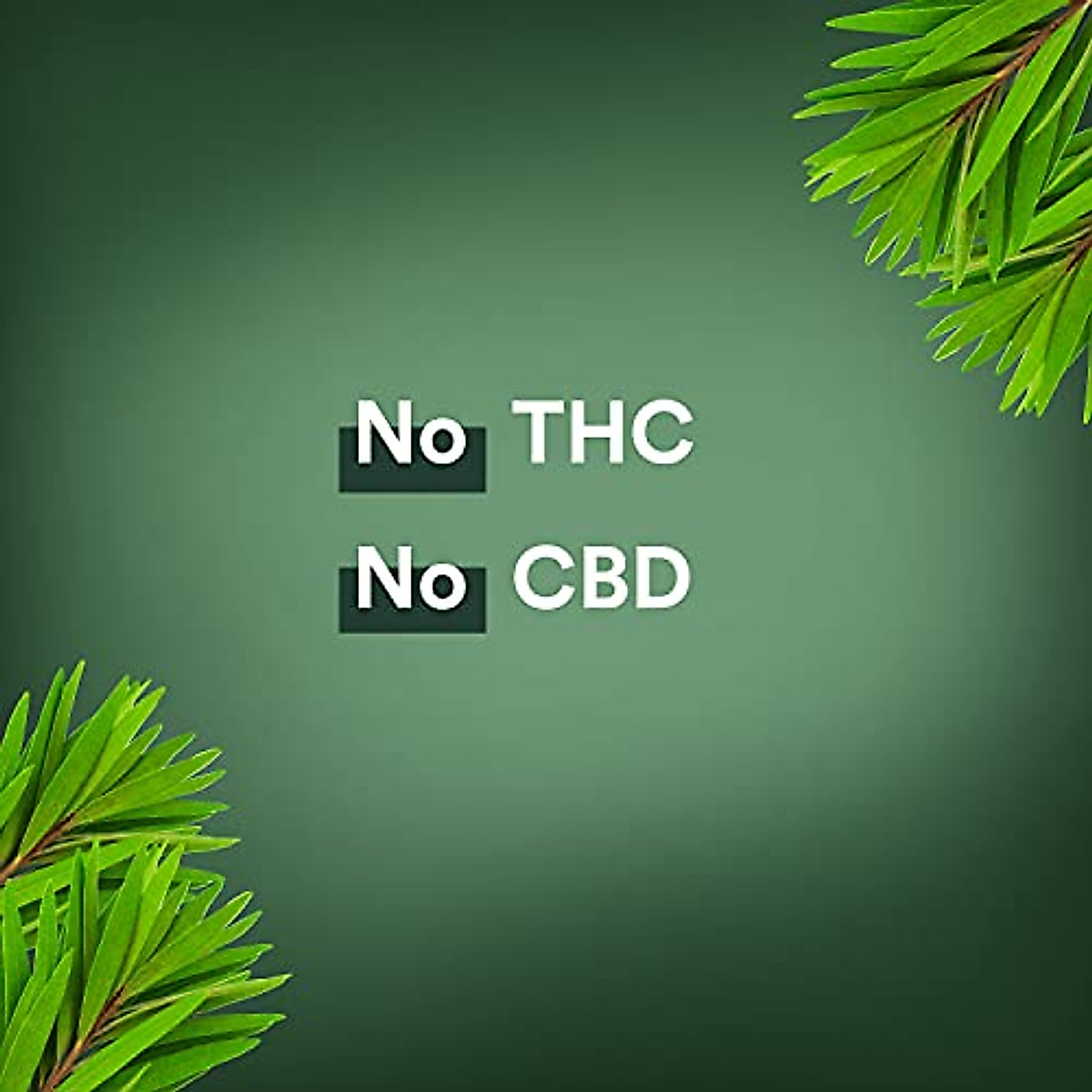 Suave Clarifying Shampoo for Oily Hair Tea Tree Hemp Seed Oil Paraben Free 12.6 oz