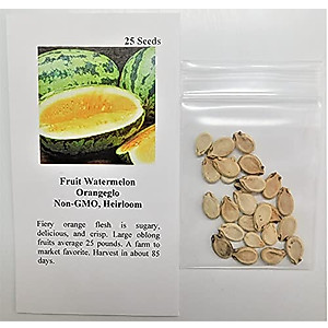 David's Garden Seeds Fruit Watermelon Orangeglo 9384 (Orange) 25 Non-GMO, Heirloom Seeds