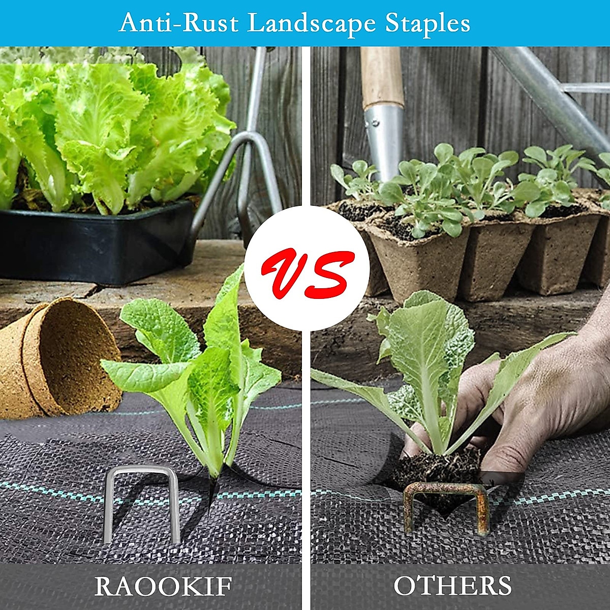 RAOOKIF 12 Inch Galvanized Garden Landscape Staples Stakes, 20/50/100/200Pcs Garden Metal Stakes, 11 Gauge Heavy Duty Ground Stakes for Decoration, Fence Stakes Lawn Stake, Fabric Pins (20, 12 Inch)