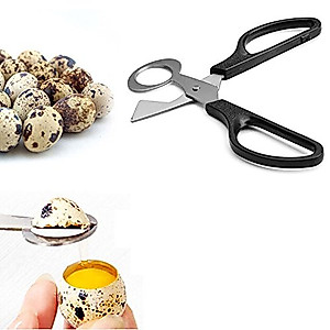 Adecco LLC Pigeon Quail Egg Cutter Scissors Stainless Steel Blades Bird Cutter 2 Pack (Quail Egg Scissor)
