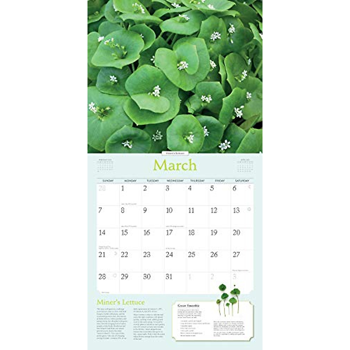 Rosemary Gladstar's Herbs Wall Calendar 2021