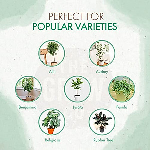 Fiddle Leaf Fig Tree Plant Food - Slow Release Fertilizer Pellets for Potted Figs - Steady Nutrients to Grow Healthy Indoor and Outdoor Ficus Plants (5 oz)