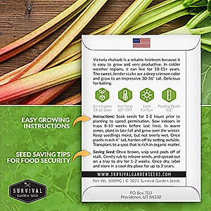 Survival Garden Seeds - Victoria Rhubarb Seed for Planting - Packet with Instructions to Plant and Grow Delicious and Tangy Red Stalks in Your Home Vegetable Garden - Non-GMO Heirloom Variety