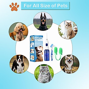 CrazyColt Cat and Dog Toothbrush, Tooth Brushing Kit Suitable for Dog and Cat