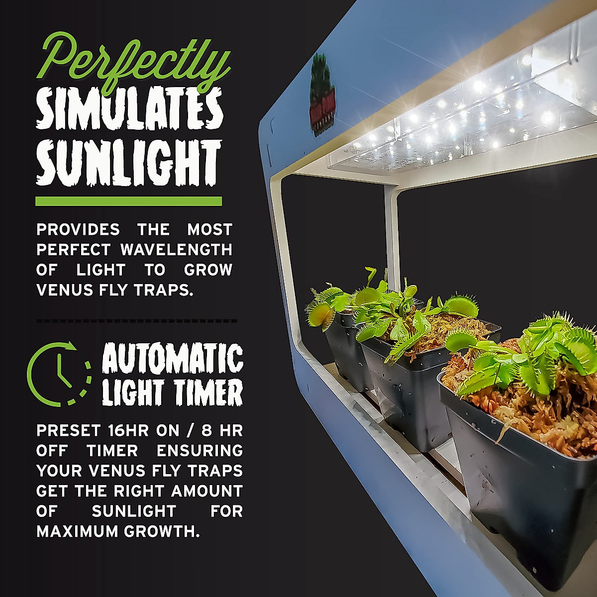 Venus Fly Trap Terrarium - for Indoor Growing - Perfect for Growing Carnivorous Plants Indoors - 16 Hour Automatic Timer -