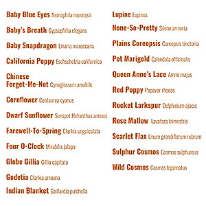 Variety Pack (23) of 64,000 Non GMO Wildflower Seeds for Bees, Hummingbird, Butterflies and Pollinators - with Growing Guide for Gardeners from Germination to Flowers - Bulk Seeds - by Open Seed Vault