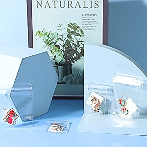 Haiabei 100 Pieces Jewelry Bag Self Seal Plastic Zipper Bag Clear PVC Rings Earrings Packing Storage Pouch Jewelry Transparent Lock Bags for Holding Jewelries Jewelry Anti Oxidation Lock Pouch Set