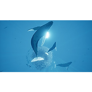 ABZÛ - PlayStation 4