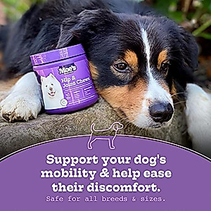Moe's Glucosamine Dog Joint Supplement + Glucosamine, Chondroitin, Hyaluronic Acid, Vitamin C, E – Bone Health - Joint Pain Relief - Advanced Hip & Joint Care - 90 Chews - Made in USA – All Breeds