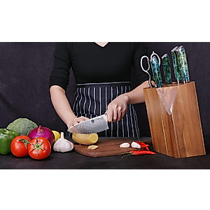 WILDMOK Damascus Kitchen Knife with Block 7pcs Premium Kitchen Knives Set with Resin Handle Professional Ultra Sharp Chef Knives Set with Gift Box