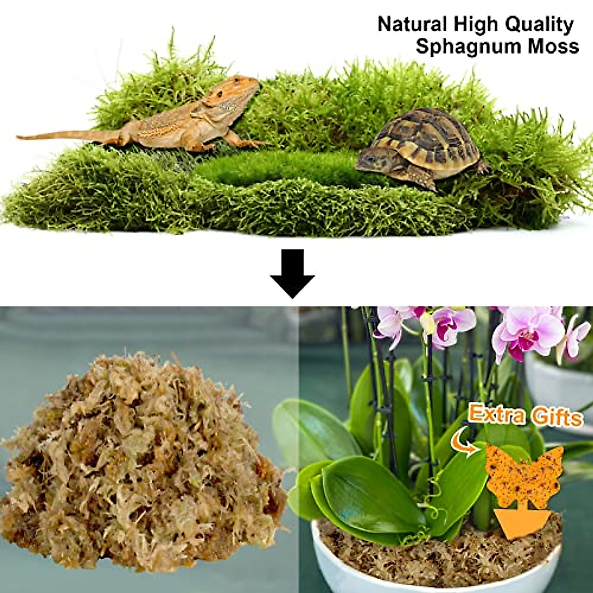 Stingmon 25QT Sphagnum Moss for Plants, Orchid Moss for Potted Plants Peat Moss, Dried Sphagnum Moss for Orchids Reptiles Potting Mix Soil Ochid Soil (7oz 200g)