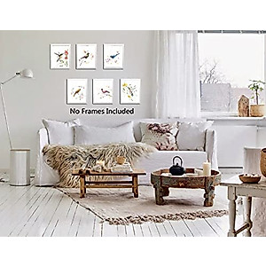 HONGRUIFAN Hummingbird Wall Art Canvas Flower Pictures Watercolor Artwork Prints Painting 8x10 inch Set of 6 Unframed for Kitchen