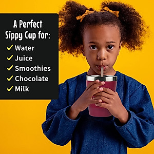 4 Pack Kids Toddler Cups,Insulated Stainless Steel Kids Tumbler with Reusable Smoothie Straws and Lids, Kids Water Bottle for Daily Use,BPA Free,Easy Clean,8oz, Blue/Teal/Red/Yellow - K Kichuzl