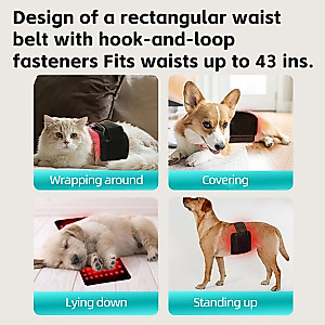 MANON ROSA Red Infrared Light Therapy Belt Pets: Portable Wearable Device for Tissue Repair Relieving Sciatica Joint Back Pain in Small Medium Large Dogs Cats (Small,60 Lamp Beads)