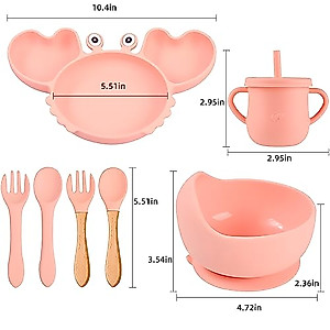 Baby Feeding Set, 9 in 1 Silicone Toddler Weaning Set- Adjustable Bib, Crab Pattern Divided Plate, Sucking Bowl, 2 Pairs of Feeding Spoons and Forks, Snack Cup, Drinking Cup for Babies and Toddler