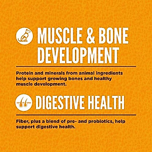 ORIJEN Puppy Dry Dog Food, Grain Free Dry Dog Food for Puppies, Fresh or Raw Ingredients, 4.5lb