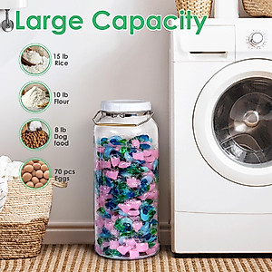 Qianfenie 2 Gallon Glass Jar with Airtight Lid, Wide Mouth Mason Jar with Lids(7600ML), Set of 1, 2 Gallon Large Glass Jar with Lid and Stainless Steel Handle