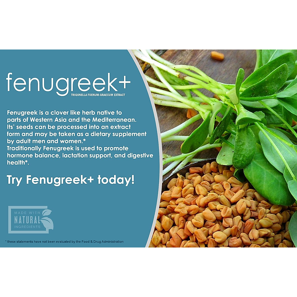 VH Nutrition Fenugreek+ | Fenugreek Capsules for Women | 1400mg Lactation Supplement* | Extra Strength Mother's Breastfeeding Support Formula* | Easy to Swallow 60 Capsules