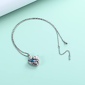 Yinplsmemory Hummingbird Cremation Jewelry Crystal Heart Urn Ashes Necklace for Women Men Memorial Keepsake Necklace of Loved One