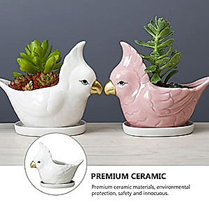 Homoyoyo Parrot Planter Pot Ceramic Flower Pot for Bonsai Mini Parrot Shape Succulent Planter with Saucer for Suculent Cactus Flower Pot Holder Bird Figurine for Desk Decoration White
