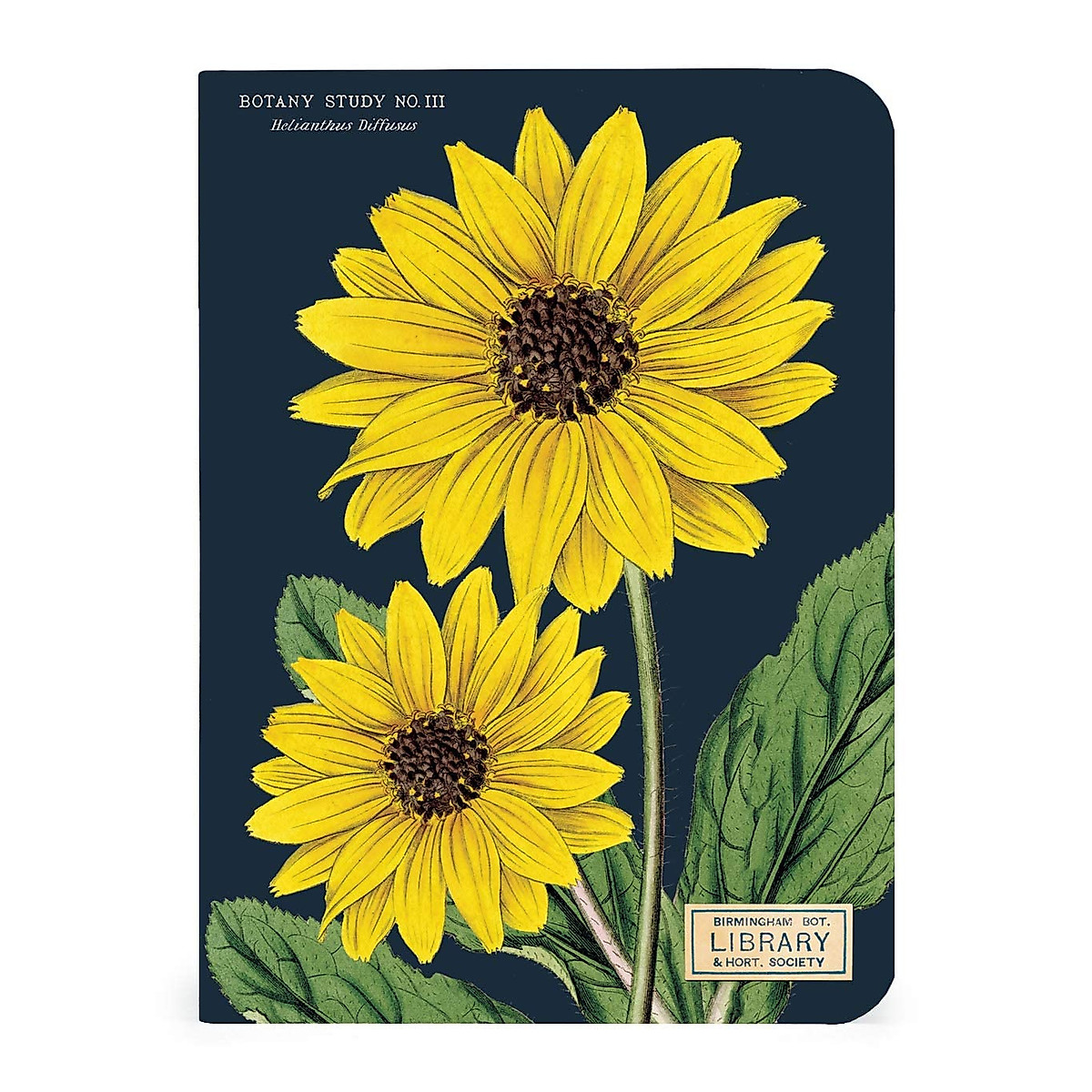 Botany Mini Notebooks