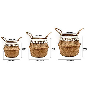 BlueMake Boho Woven Seagrass Belly Basket for Storage Plant Basket or Toy Basket Living Bathroom (Large, Beige)