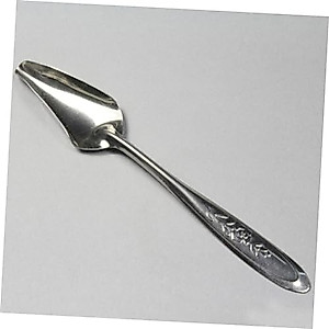 CORHAD 12 Pcs Feeding Spoon Bird Feeding Tool Hamster Spoon Pet Food Spoon Pet Milk Spoon Bird Parrot Spoon Hamster Feeding Tools Bird Feeding Scoop Bird Feeding Supplies Silver