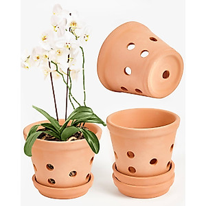 vensovo 6 Inch Terracotta Orchid Pots with Holes and Saucers - 3 Pcs Small Clay Orchid Planter Pots for Repotting, Plant Flower Pots for Orchid Indoor and Outdoor Promotes Air Circulation