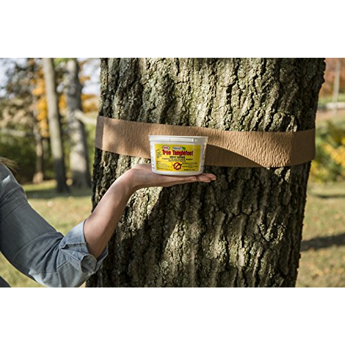 Tanglefoot Insect Barrier (Tub), 15 oz.