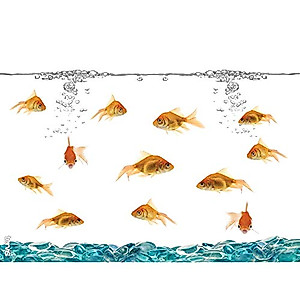 Tervis Goldfish Plastic Tumbler with Wrap and Orange Lid 24oz, Clear