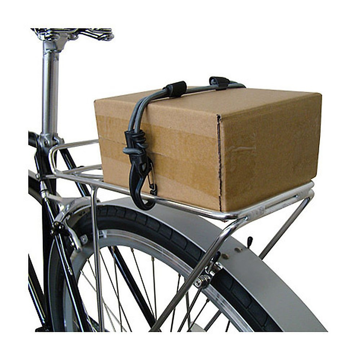 Bungee Cord, Carabiner, 10 in.L, 23/64 in.D