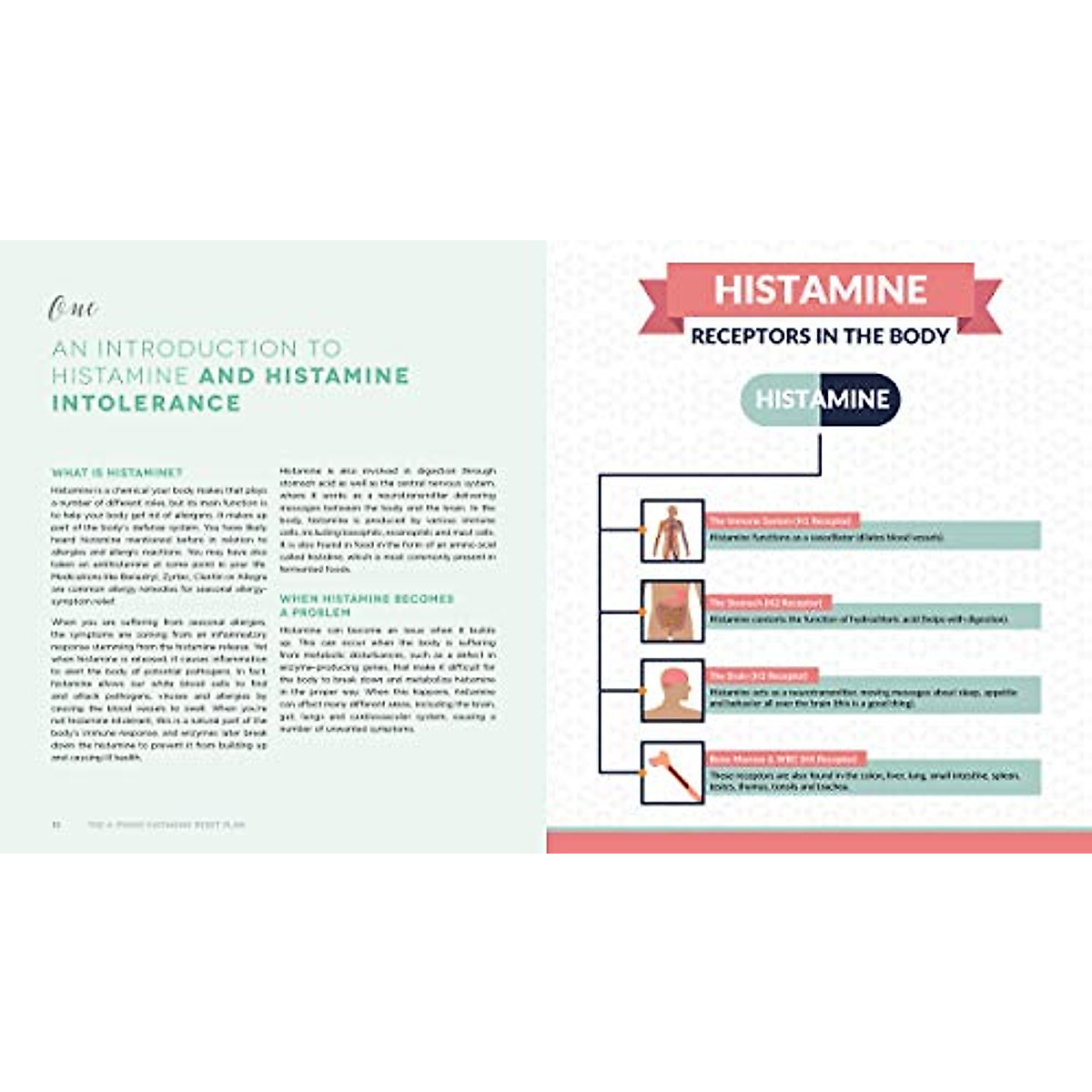 The 4-Phase Histamine Reset Plan: Getting to the Root of Migraines, Eczema, Vertigo, Allergies and More