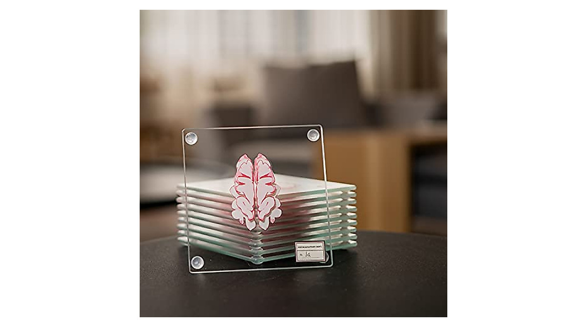 Anatomic Brain Specimen Coasters Set of 10 - Unique Medical Gift