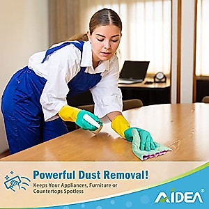 AIDEA Microfiber Cleaning Cloth -12PK, Absorbent Coral Fleece Dusting Cloths, No Odor Reusable Dish Cloth, All Purpose Premium Cleaning Rags, Washable Microfiber Cloth Fast Drying 6.3" x10.4"