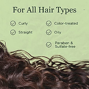 Saragan Activated Charcoal Shampoo - Natural Clarifying Shampoo w/Keratin, Argan & Jojoba Oils - Sulfate & Paraben Free Shampoo for Women and Men - Charcoal Detox Shampoo (16 oz) All hair types