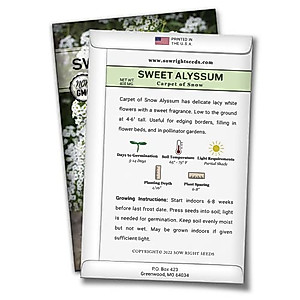 Sow Right Seeds - Sweet Alyssum White Carpet of Snow Flower Seeds for Planting - Beautiful Container or Bedding Flowers to Plant in Your Garden - Non-GMO Heirloom Seeds - Wonderful Gardening Gift