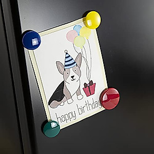 Officemate Round Plastic Covered Magnets - Durable & Longlasting Magnets for School, Office, Refrigerator, Whiteboard, Kitchen, Notice Board - 5 Assorted Colours (Pack of 30)